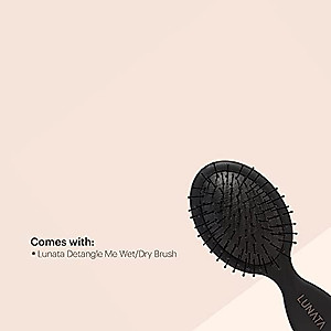 Lunata Detangle Me Wet / Dry Hair Brush | Detangling Brush for All Hair Types | Dry & Wet Travel Brush | Hair Brushes for Women, Mini Black