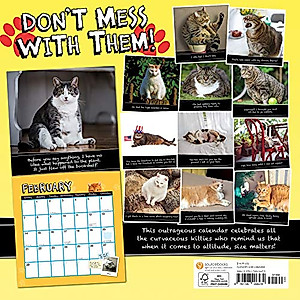 2021 Fat Cats Wall Calendar: A Monthly Calendar Full of Funny Felines and Hilarious Captions (The Perfect Funny Gift for Christmas and Cat Lovers)