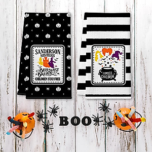 Hocus Pocus Decor, 2 Pack Halloween Kitchen Towels, Halloween Kitchen Bathroom Decorations, Hocus Pocus Merchandise Gifts, Funny Halloween Hand Towels Dish Cloths - I Smell Children