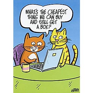 Cats Shopping Online - Oatmeal Studios Funny/Humorous Birthday Card