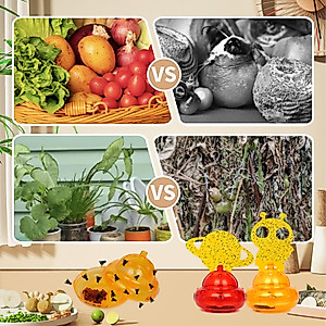 Fruit Fly Trap wth Sticky Pads, Fruit Fly Killer for Indoors, Safe and Non-Toxic Fly Catcher Gnat Traps Fruit Fly Traps for Kitchen,House - 2 Pack