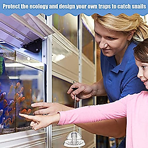 Honeydak 4 Pieces Snail Trap Plastic Aquarium Snail Trap for Fish Tank Clear Snail Catcher Fish Plants Leech Planarian Catch Box for Aquarium Fish Tank