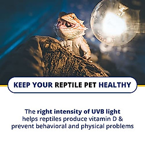 Solarmeter Model 6.5R Reptile UV Index Meter, Handheld Digital Radiometer for Measuring Ultraviolet Light, Measures 280-400 nm with Range from 0-199.9 UV Index, Made in USA, ABS Polymer, Black