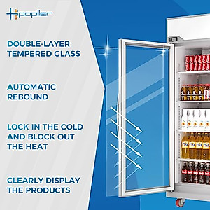 HIPOPLLER Commercial Glass 2 Door Display Refrigerator Merchandiser - Upright Beverage Cooler with LED Lighting - 38.5 Cu. Ft., Silver