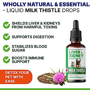 Liver & Kidney Support Supplement for Dogs & Cats - Liquid Milk Thistle Dogs Liver Detox - Canine Hepatic Care - Kidney Cleanse & Protection in Drops - Silybin for Dogs - 2 fl oz (60ml) - Made in USA