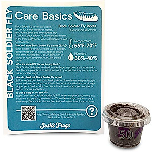 Josh's Frogs Black Soldier Fly Larvae (50 Count - Small)