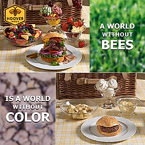 Hoover Hives 10 Frame Bee Hive Starter Kit for Bee Keepers - Langstroth Beehive Kit Comes with 2 Honey Bee Hives Boxes That are Coated in 100% Naturally Organic Beeswax (Unassembled)