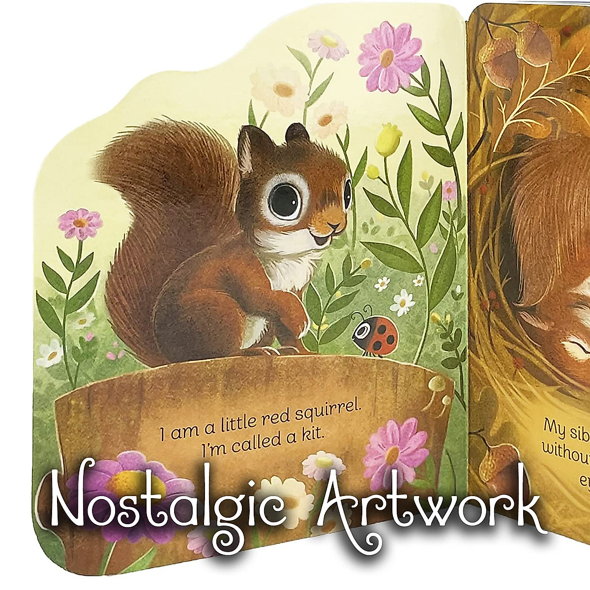 A Little Squirrel - An Animal-Shaped Children's Board Book, Ages 1-5