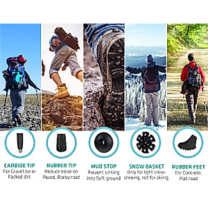 TREKOLOGY Trekking Poles Collapsible Nordic Hiking Poles - Cork Handle 2pc Ultralight Folding Walking Sticks, Hiking Sticks, Lightweight Aluminum Foldable Trekking Walking Sticks for Seniors Women Men