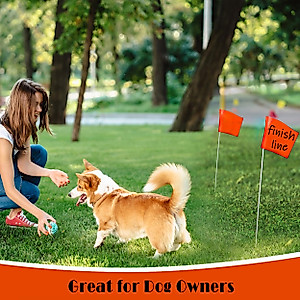 Zozen 100Pack Marking Flags, Orange Marker Flags - 15x4x5 Inch, Lawn Flags, Landscape Flags, Marker Flags for Lawn, Survey Flags, Irrigation Flags, Match with for Distance Measuring Wheel.