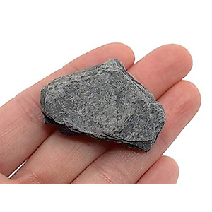 6PK Raw Carbonaceous Shale, Sedimentary Rock Specimens - Approx. 1" - Geologist Selected & Hand Processed - Great for Science Classrooms - Class Pack - Eisco Labs