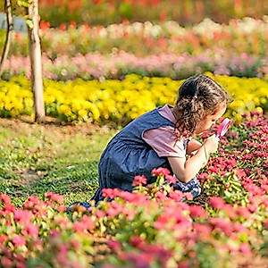 Magnifying Glass Kids Plastic Magnifier 18 Pack Hand Lens Mini Handheld Magnifying Lenses for Children Science Class Outdoor Observation Party Fun Tool IRCHLYN