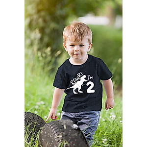 2nd Birthday Shirt boy Dinosaur rawr im 2 Toddler Two Year Old Second Dino Outfit (Charcoal Black, 2 Years)