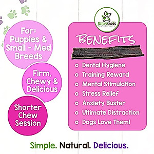 Nature Gnaws Beef Jerky Chews for Small Dogs - Premium Natural Beef Gullet Sticks - Simple Single Ingredient Tasty Dog Chew Treats - Rawhide Free - 4-5 Inch (20 Count)