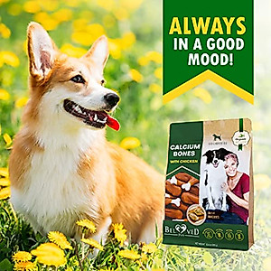 Dog Calcium Bones Wrapped Chicken & Rawhide Free Chew Treats - Pet Healthy Dried Snacks & Grain Free Organic Meat - Bulk Best Chews for Christmas, Training Small & Large Dogs - Made for USA