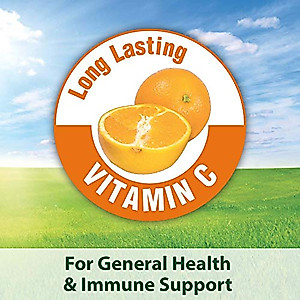 Kaytee Fiesta Guinea Pig Food, 2.5-Pound