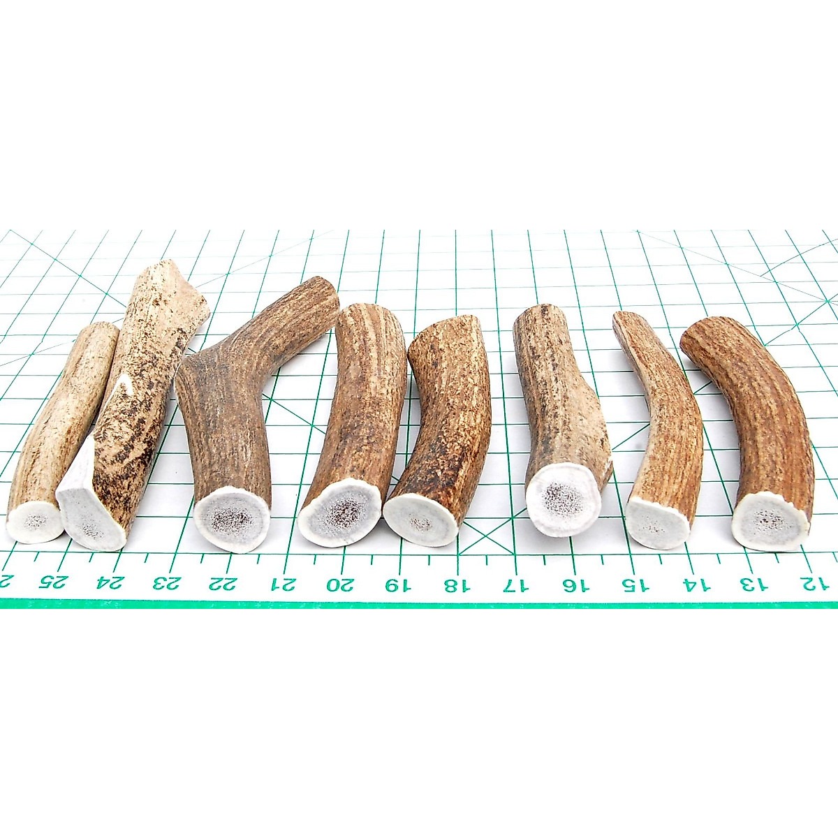 Big Dog Antler Chews - Extra Large 2-Pack Elk Antler Dog Chews, 6 Inches to 10 inches Long, for Medium to Large Dogs and Puppies