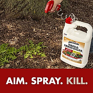 Spectracide Weed & Grass Killer (Refill), Use On Driveways, Walkways and Around Trees and Flower Beds, 1.3 Gallon