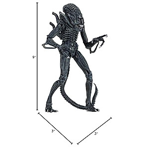 NECA - Alien- 7" Scale Action Figures - Ultimate Warrior - (1986) Blue Alien