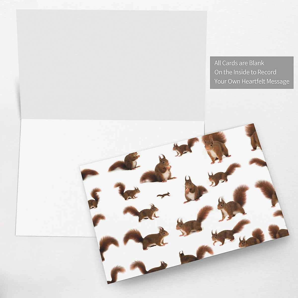 MQGMZ Cute Squirrels Print Holiday Greeting Cards Blank Note Cards With Envelopes For All Occasions Birthdays
