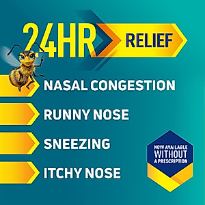 Nasonex 24Hr Allergy Nasal Spray - 60 Spray