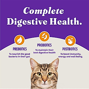 Halo Holistic Indoor Cat Food Dry, Grain Free Cage-free Chicken Recipe for healthy weight support, Complete Digestive Health, Dry Cat Food Bag, Adult Formula, 6-lb Bag