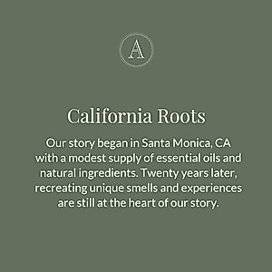 Archipelago Botanicals Morning Mint Body Wash. Stimulating and Cleansing Daily Wash. Free from Parabens and Sulfates (33 fl oz)