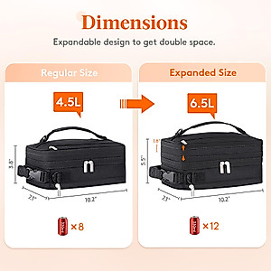 Lifewit Expandable Lunch Box for Men, Insulated Lunch Bag, Portable Cooler Bag with Shoulder Straps and 2 Ice Packs for Men Women Adult for Work College Travel, 6.5L 12 Cans Black