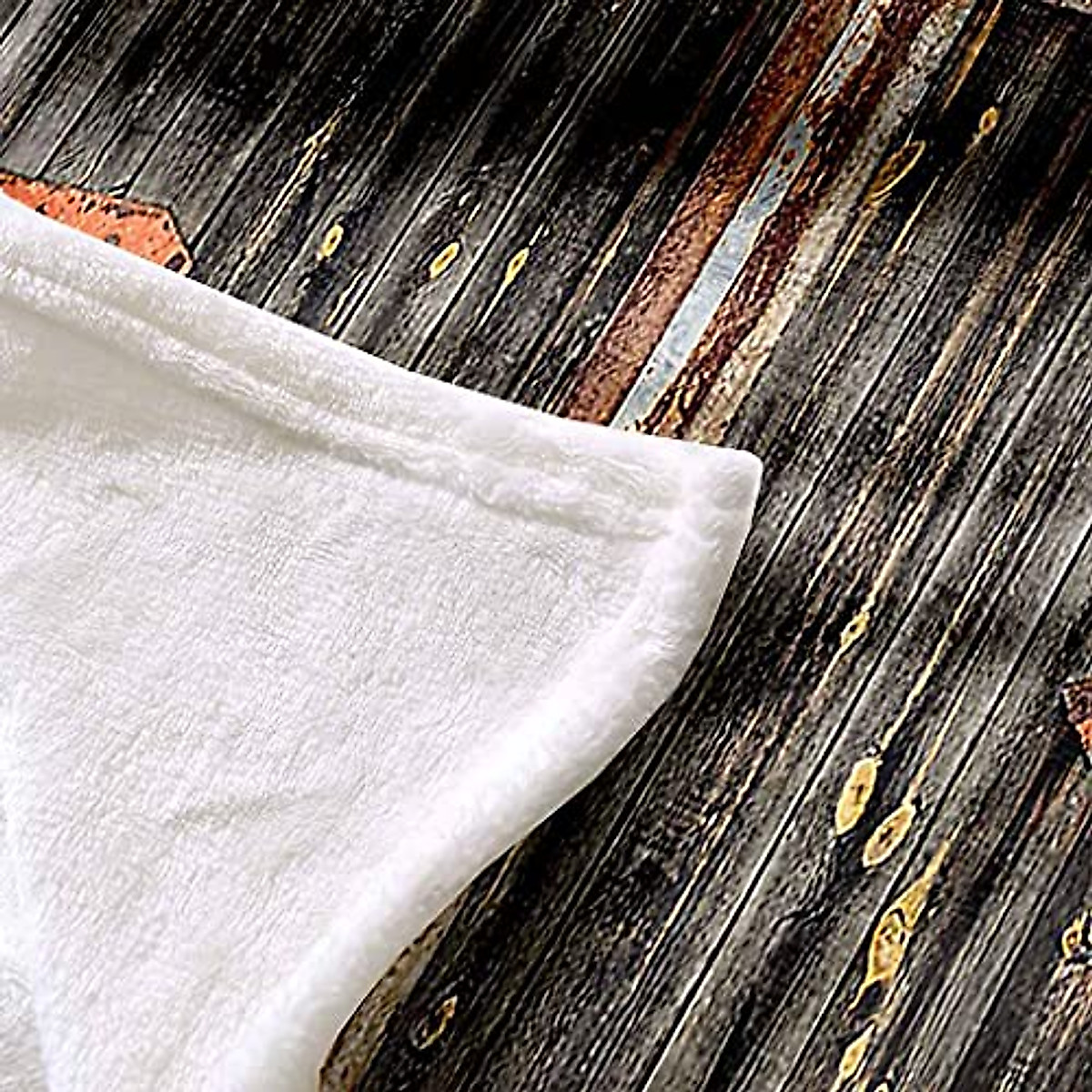 DALEM Soft Fleece Throw Blanket - Fluffy Microfiber Solid Blankets for Bed and Couch Double/Single Size - 59X79Inch Iron Wooden Door Printed Flannel Blanket for Bed, Couch and Sofa