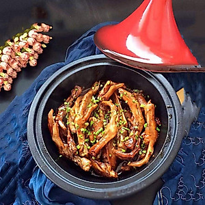 MYYINGBIN Moroccan Tagine Enameled Cast Iron Pot with Ceramic Lid Anti-Hot Silicone Gloves, Lead Free stew Pot Cookware, Red