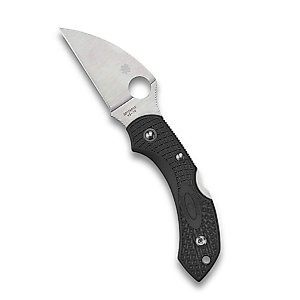 Spyderco Dragonfly 2 Lightweight Signature Knife with 2.28" VG-10 Wharncliffe Blade and High-Strength Black FRN Handle - PlainEdge - C28FPWCBK2