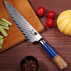Dnifo Chef Knife, Damascus VG-10 Steel 8 inch Professional Sharp Kitchen Knife, Japanese Chef Knives Full Tang Half Bolster Cooking Damascus Knife, Anti-rusting Forged Damascus Chef's Knife