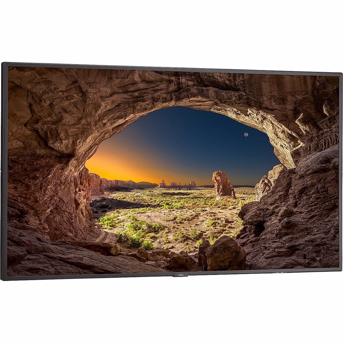 NEC V554 V Series - 55" Class (55" viewable) LED Commercial display