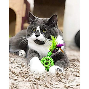 JW Pet Cataction Feather Ball with Bell, Cat Toy, Green, 1 Count (Pack of 1) (71059)