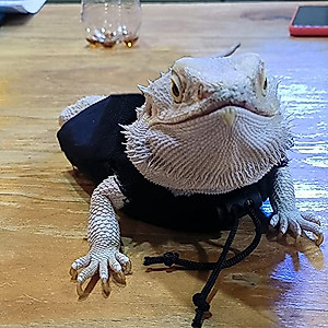 4 Pack Lizard Clothes for Bearded Dragons Straw Hat Set Reptile Apparel Handmade Sleeveless T-Shirt Vest Skin Protection Photo Party for Lizard Bearded Dragon Crested Gecko Chameleon (L, 4 Pack Set)