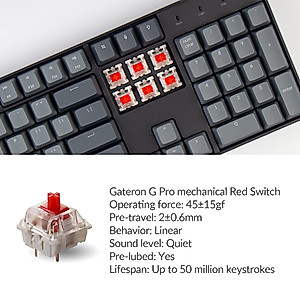 Keychron K10 Full Size 104 Keys Bluetooth Wireless Mechanical Gaming Keyboard for Mac Windows with Gateron G Pro Red Switch, Multitasking/White LED Backlight/USB C Wired Computer Keyboard