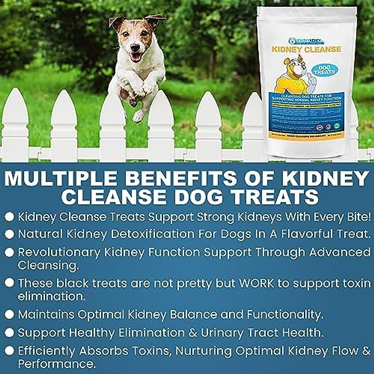 Petite Kidney Cleanse Dog Treats 20 Oz - Low Protein, Bacon Flavor, Kidney Support Formula for Normal Toxin Elimination - Kidney-Friendly Dog Diet Snack