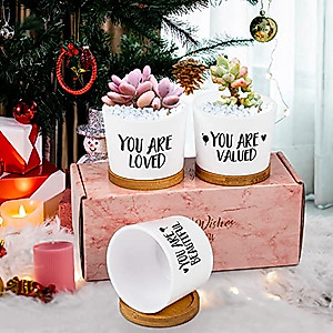 Birthday Gifts for Women,Bestfriend Gifts for Women,Unique Gift Ideas for Birthday,Inspirational Gifts for Women,Graduation Gifts, Plastic Succulent Pots Gifts with Gift Boxed(You are Loved)