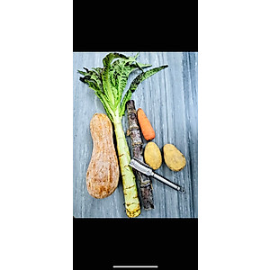 Heavy Duty Vegetable Peeler with Ultra Sharp Thick n Strong Blade for Butternut Squash Sugar cane Asparagus,Easy to peeling hard skin of fruits and vegetable