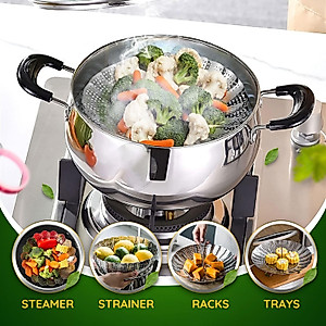 Flexzion Vegetable Steamer Basket for Pot - Stainless Steel Steaming Basket for Veggie, Fish, Meats, Eggs - Extendable Expandable Foldable Steam Basket w/Handle for Various Pot Size, 7 to 11 Inch