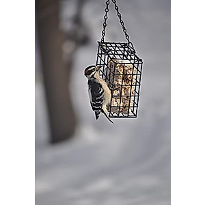 C&S Fruit n' Nut Treat 11.75 Ounces, 12 Pack