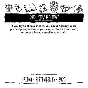 Did You Know? 2023 Day-to-Day Calendar: Brain Food: Fun Facts to Snack On