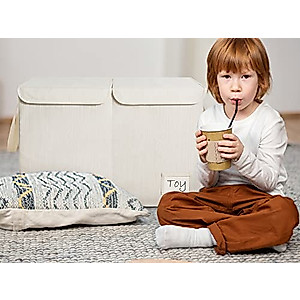 StorageWorks Storage Bins for Clothes