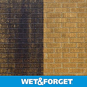 Set of 2 Wet and Forget Moss, Mildew and Algae Stain Remover