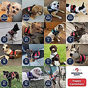 Service Dog Vest with Hook and Loop Straps and Handle - Harness is Available in 8 Sizes from XXXS to XXL - Service Dog Harness Features Reflective Patch and Comfortable Mesh Design Bright Red