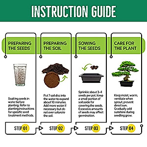 REALPETALED Bonsai Starter Kit – Japanese Bonsai Tree Kit with Bonsai Tools, 7 Bonsai Tree Seeds, Pots – Complete Grow Your Own Bonsai Tree Live Kit – Plant Lover Gifts Home Gifts for Men and Women