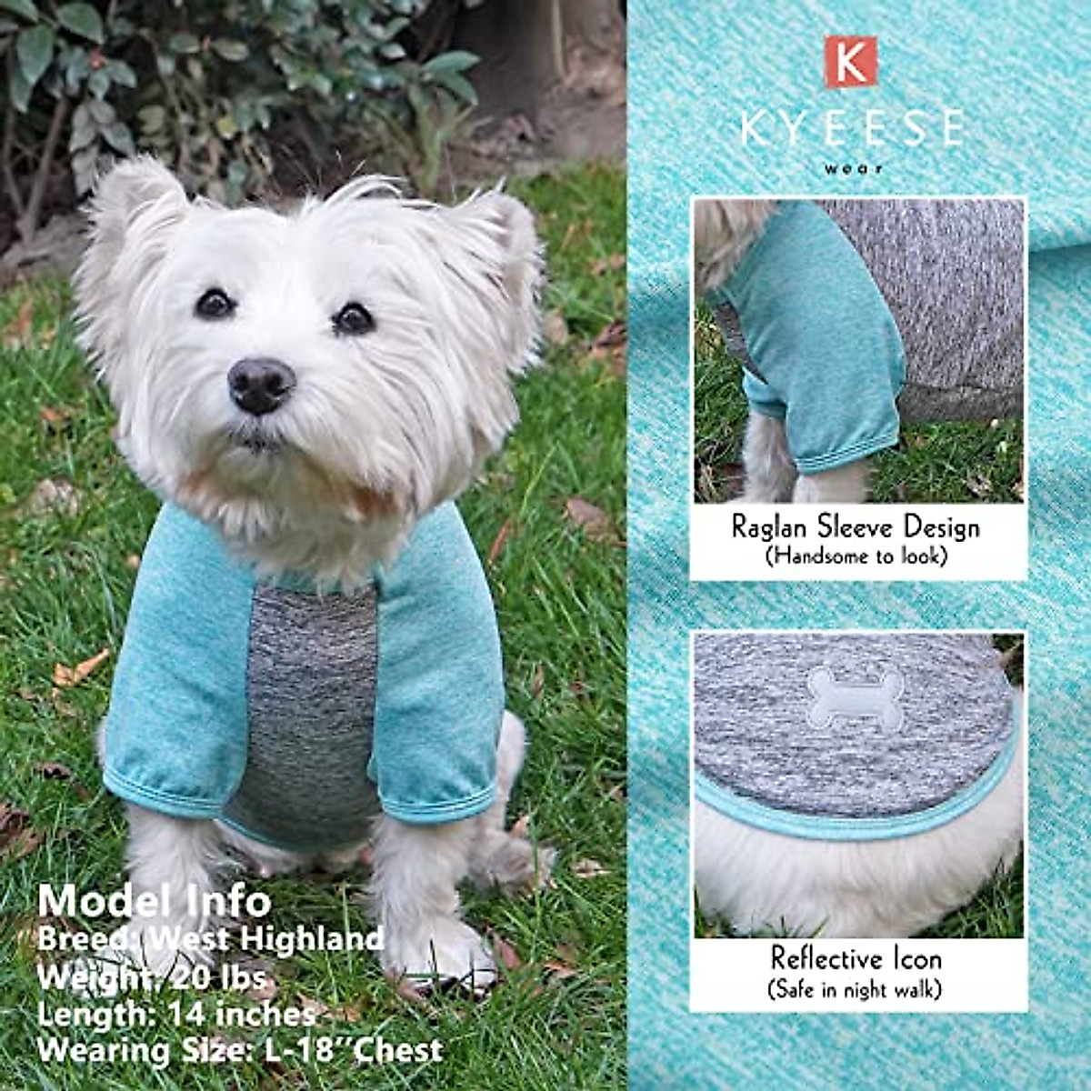 KYEESE 2 Pack Dog Shirts Raglan Sleeve Quick Dry Lightweight Stretchy Protects Against Foxtails Dog T-Shirts with Reflective Label Puppy Shirts for Small Dogs Sun Protection, Medium, Grey+Blue