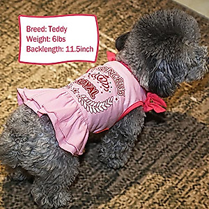 KYEESE 2Pack Dog Dresses Princess Bowtie Doggie Sundress Dog Dress for Small Dogs