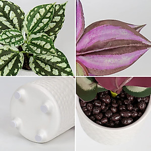 DILATATA 2 Packs Small Fake Plants for Decor Artificial Plants in Ceramic Pot 7.5" Faux Potted Plants Eucalyptus for Home Decor Table Centerpiece Living Room