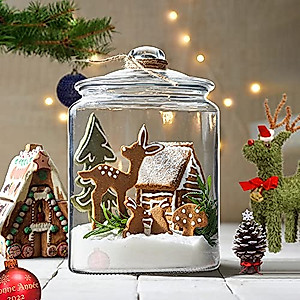 Daitouge 1.5 Gallon Glass Jars with Lids, Large Glass Storage Jars Set of 2, Heavy Duty Glass Canisters for Kitchen, Perfect for Flour, Sugar, Rice, Pasta, Beans, Cookies